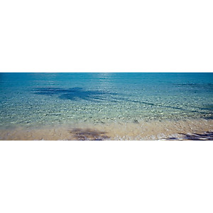 Posterazzi Shadow of trees on water Hawksnest Bay National Park St John US Virgin Islands Poster Print, (27 x 9)