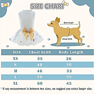 Dog Cute Dress Lace Tulle Tutu Outfit Skirt with Beautiful Stars Embroidery for Small Medium Girl Dogs Christmas Holiday Wedding Birthday Party (White Star, XL)