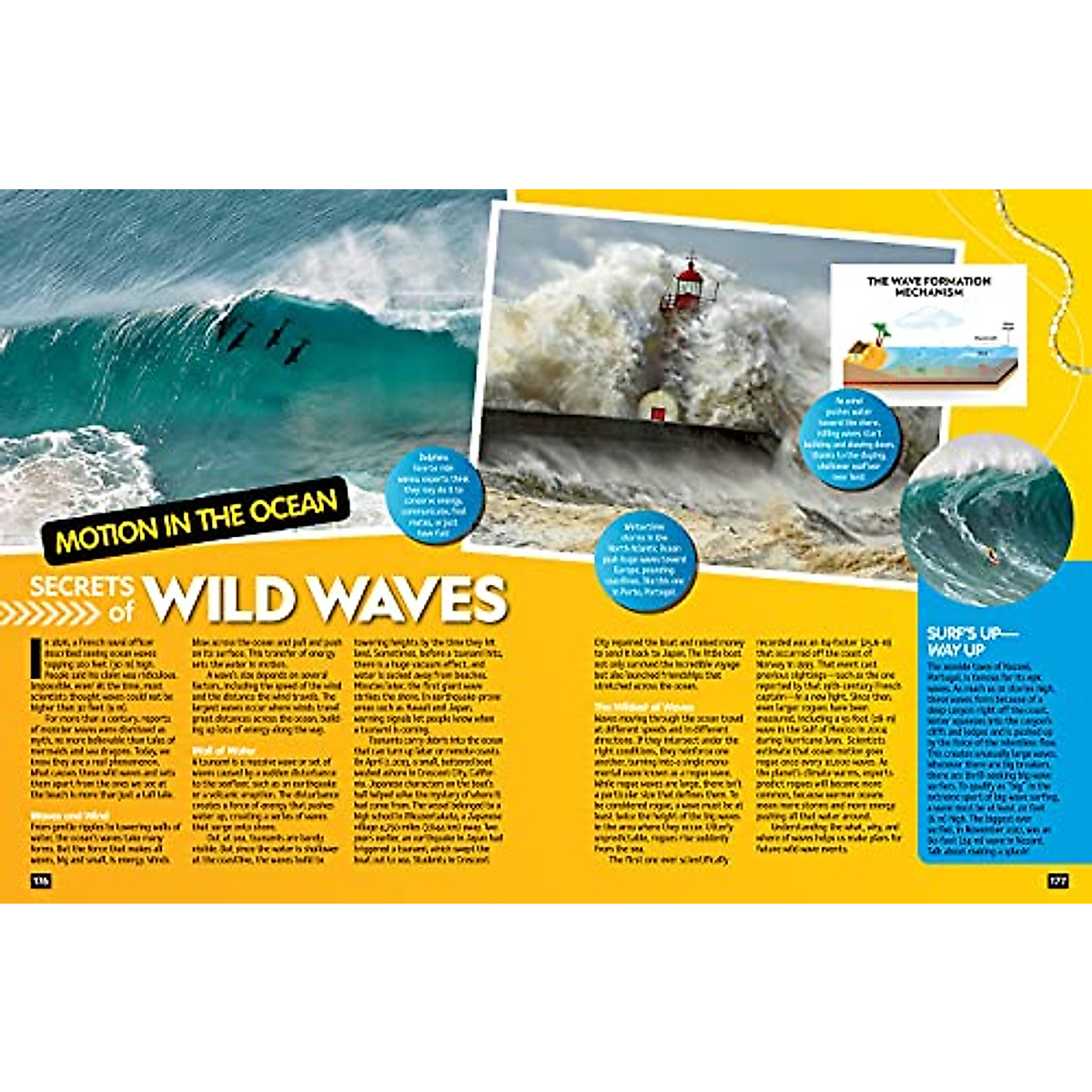 The Coolest Stuff on Earth: A Closer Look at the Weird, Wild, and Wonderful (National Geographic Kids)