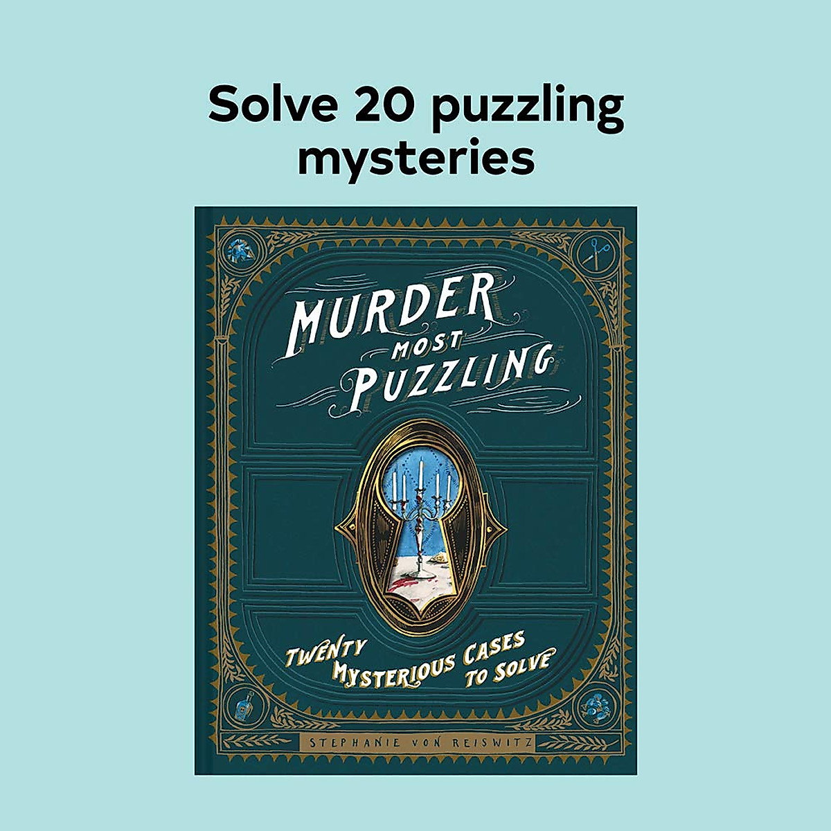 Murder Most Puzzling: Twenty Mysterious Cases to Solve