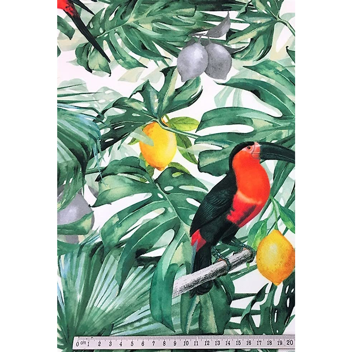 Tropical Toucan Birds,Lemons Floral Print Upholstery Fabric(200x140cm)-HDTF-0642-200