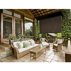 VICLLAX Outdoor Roller Shade, Patio Cordless Blinds Roll Up Shade (8' W X 8' L), Mocha