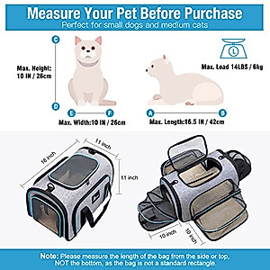 Siivton Airline Approved Pet Carrier, Soft Sided Pet Travel Carrier 4 Sides Expandable Cat Carrier with Fleece Pad for Cats, Puppy and Small Dogs