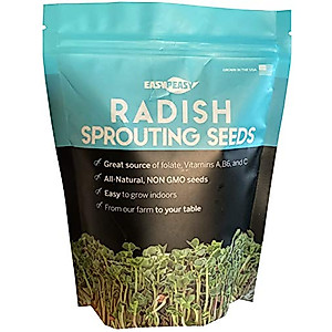 Radish Sprouting Seeds | Non GMO | Grown in USA | (1/4 Pound)