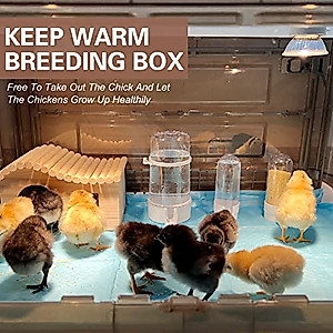 HKDQ Chick Brooder,Brooder Box for Chicks,Brooder Heater Warms up to 20 Chicks,with Pet Pee Pad(55L)