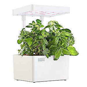Back to the Roots Hydroponic Grow Kit, Indoor Garden (Matte White), Organic Seeds Included, Gardening Gift, Everything Included