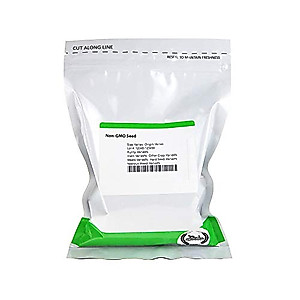 Common Vetch - 1 OZ ~700 Seeds - Non-GMO, Heirloom, Open Polliated - Farm & Garden Cover Crop - Vicia Sativa