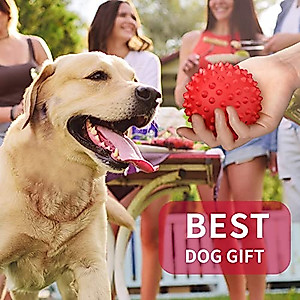 Apasiri 𝐔𝐩𝐠𝐫𝐚𝐝𝐞𝐝 𝐕𝐞𝐫𝐬𝐢𝐨𝐧 Squeaky Toys for Large Dogs, Aggressive Chewers, Tough Spiky Ball Durable Floatable Rubber Pet Toys for Medium Breed