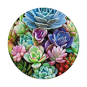 Cute colorful succulent plants flower pattern PopSockets Swappable PopGrip