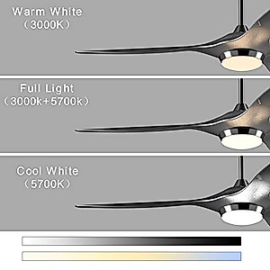 reiga 52-in Silver Ceiling Fan with Dimmable LED Light Kit Remote Control Modern Blades Reversible DC Motor, 6-speed, Timer