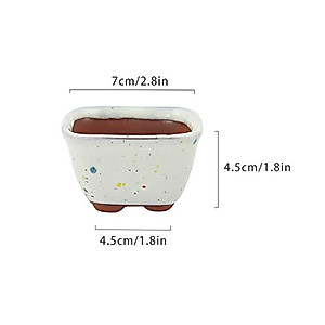 Happy Bonsai 4 pc Mini Glazed Pots Value Set