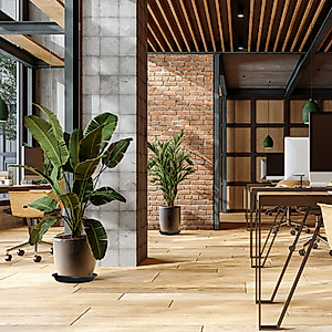 ZUNTENG Black Plastic Plant Saucer, 3pcs Plant Tray,12inch Flower Plant Pot Saucer for Indoor and Outdoor