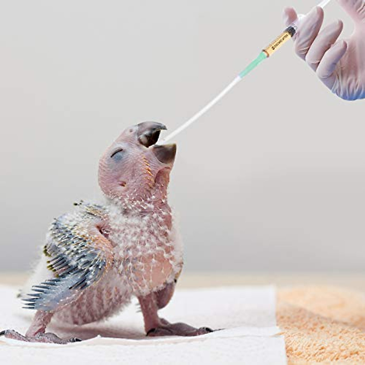 Parrot Feeding Syringe Birds Feeding Hoses, soft birds feeding hose 3pcs Parrot Feeding Hose Tool Birds Feeding Dropper Feeding birds feeding accessory Tube bird feeder Pet Feeder