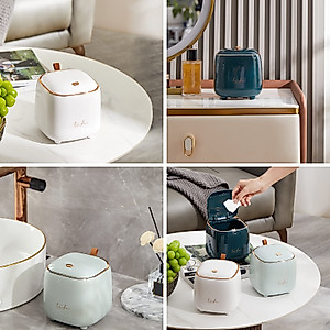 Aiabaleaft Mini Countertop Trash Can with 3 Rolls of Trash Bags, Waste Can with Press Type Lid, Desktop Trash Can Applicable for Bathroom Vanity,Coffee Table,Offices,Waste Basket (Light Green)