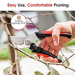 Housolution Pruning Shears Father's Day Gifts, Premium Heavy Duty Stainless Steel Ultra Sharp Multi-purpose Hand Pruning Scissors Snip Leaf Trimmer Branch Clippers with Handle for Garden, Black & Red
