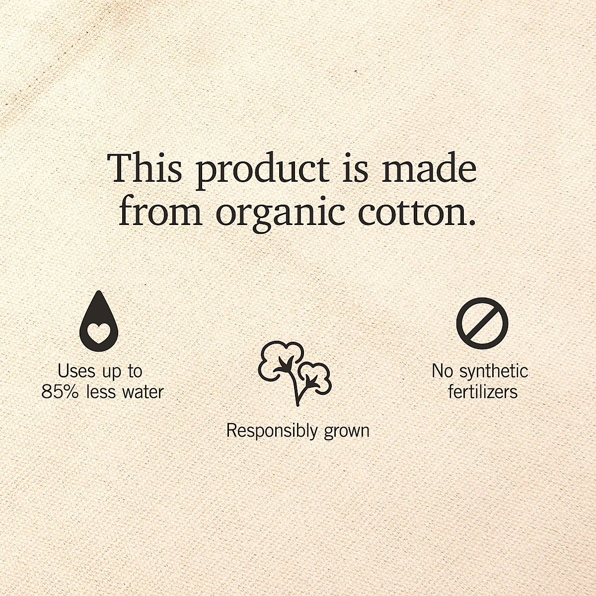 Lantern Press Philadelphia, Pennsylvania, Local Lingo Collection, Let's Get Some Water Ice, Contour (100% Cotton Canvas Reusable Tote Bag)