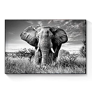 SunFlax Elephant Wall Art Canvas Artwork: African Wild Animals Picture Jungle Landscape Large Painting Black and White Wildlife Portrait Print for Modern Living Room Bedroom Bathroom Ready to Hang