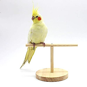 QBLEEV Bird Perch Parrot Wooden Stand，Bird Tabletop Standing Perches Play Stand Rack，Parrot Training Stick Travel Portable Pet Bird Carrier Stand for Parakeets Cockatiel Conure Budgie Lovebirds Finch