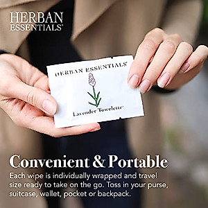 Herban Essentials Travel Body Wipes - Essential Oil Wipes for Hands, Travel Face Wipes - Natural Hand Wipes, Moist Towelettes Individually Wrapped Body Wipes for Adults - Asst. 20 Count
