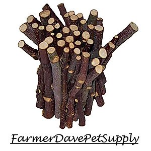 45 Apple Chew Stick Bonus Pack for Small Animals