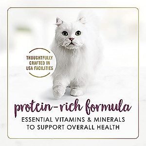 Purina Fancy Feast Wet Cat Food, Gravy Lovers Chicken Feast in Grilled Chicken Flavor Gravy - (24) 3 oz. Cans