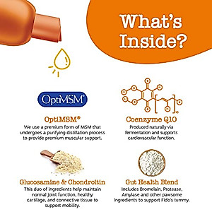 Zesty Paws 8-in-1 Flavor Infusions for Dogs - Glucosamine, Chondroitin, and MSM for Pet Hip & Joint Health - Omega 3 Fish Oil for Skin - for Dog Gut, Immune, Heart, Kidney & Liver Support - 16 fl oz