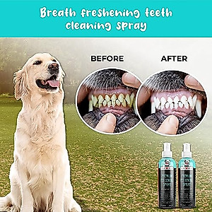 Premium Pet Dental Spray (Large - 8oz): Eliminate Bad Dog Breath & Bad Cat Breath! Fights Plaque, Tartar & Gum Disease Without Brushing! Add to Water! Digestive Aid!