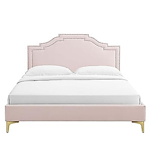 Modway MOD-6850-PNK Adelaide Performance Velvet Twin Bed, Pink Platform