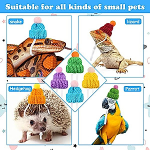 20 Pcs Pet Snake Hat with Adjustable Elastic Chin Strap, Small Reptile Animal Hamster Knitted Hat Pompon Mini Hats for Pets Snake Ball Python Lizard Guinea Pig Chameleon Iguanas Accessories Decoration