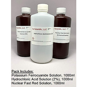 Iron (Prussian Blue) Stain Pack, 1000ml