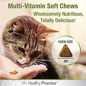 Four Paws Healthy Promise Cat Multivitamin Soft Chews 120 Count