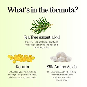 Tea Tree Conditioner for Dry Hair - Tea Tree Oil Conditioner for Oily Hair and Sulfate Free Conditioner for Dry Hair - Cleansing Conditioner and Tea Tree Dry Scalp Care with Tea Tree Oil for Hair