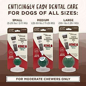 TropiClean Enticers Kong Dental Ball Kit for Medium Dogs | Teeth Cleaning Gel | Smoked Beef Brisket Flavor | 1 oz.