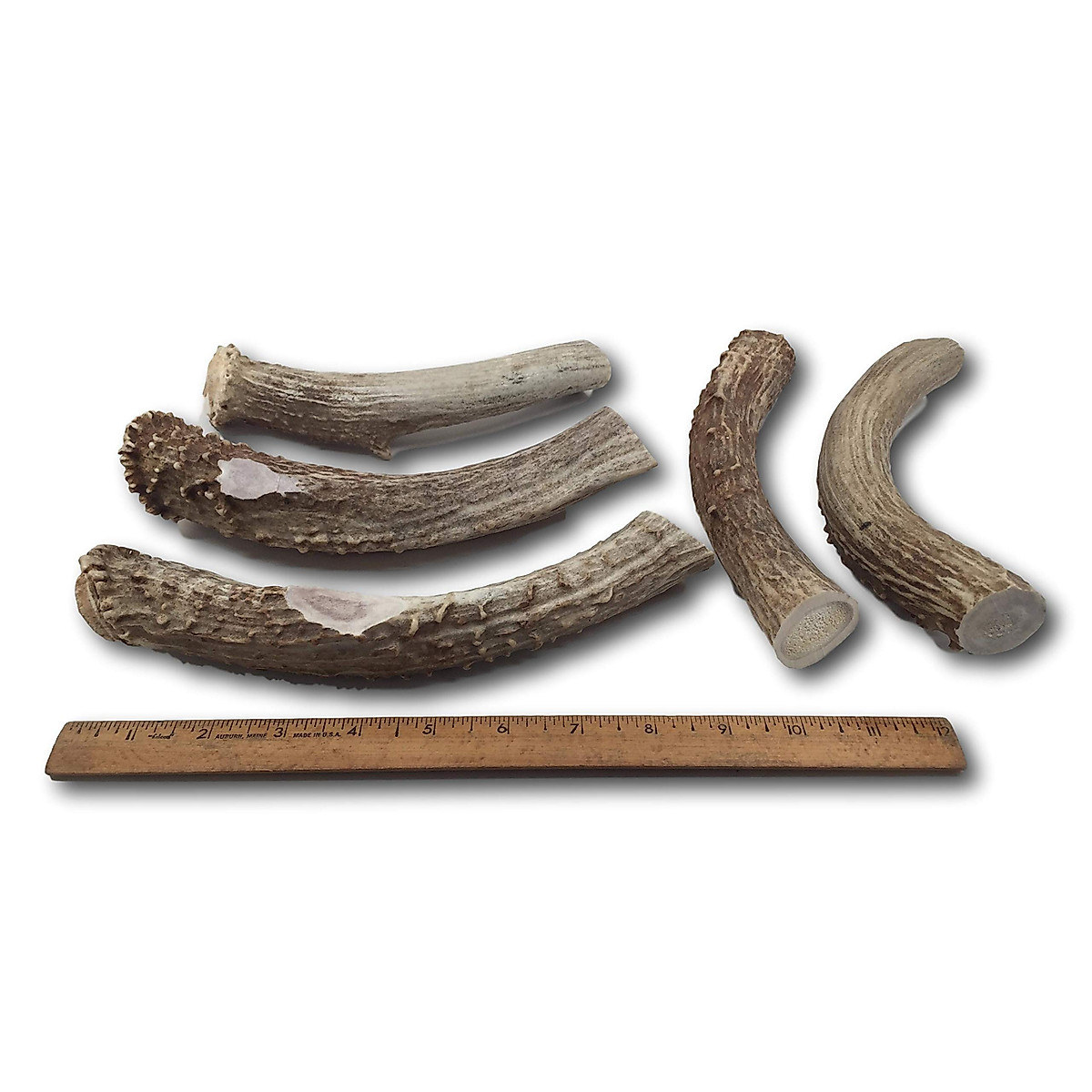 Top Dog Chews Premium Large Grade A Whitetail Deer Antler for Dogs - Single Antler