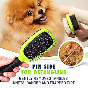 Rexipets Dog & Cat Brush & Comb Pet Grooming Set - Double Side (Small) - Ultimate Deshedding Tool - Lice And Flea Removing - Perfect Groomer's Tools - Strong Grip And Soft Bristles