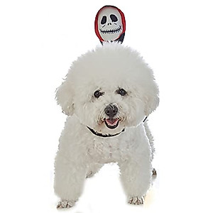 Coomour Dog Halloween Costume Pet Ghost Saddle Costume Adjustable Halloween Grim Reaper Rider Style Dog Carrying Costume (S)