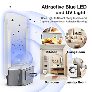 12 Pcs Refill Glue Cards for Forhimn Flying Insect Trap