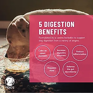 Fido's Digestion Bone Broth for Dogs - Grass-Fed Beef Bone Broth Powder & Organic Herbs - Supports Digestion & Gut Health - Dog Food Topper for Dry Food - 60 Scoops