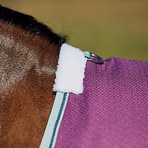 WeatherBeeta ComFiTec Premier Freedom Pony Standard Neck Lite Horse Blanket, Purple/Navy/Mint, 69"