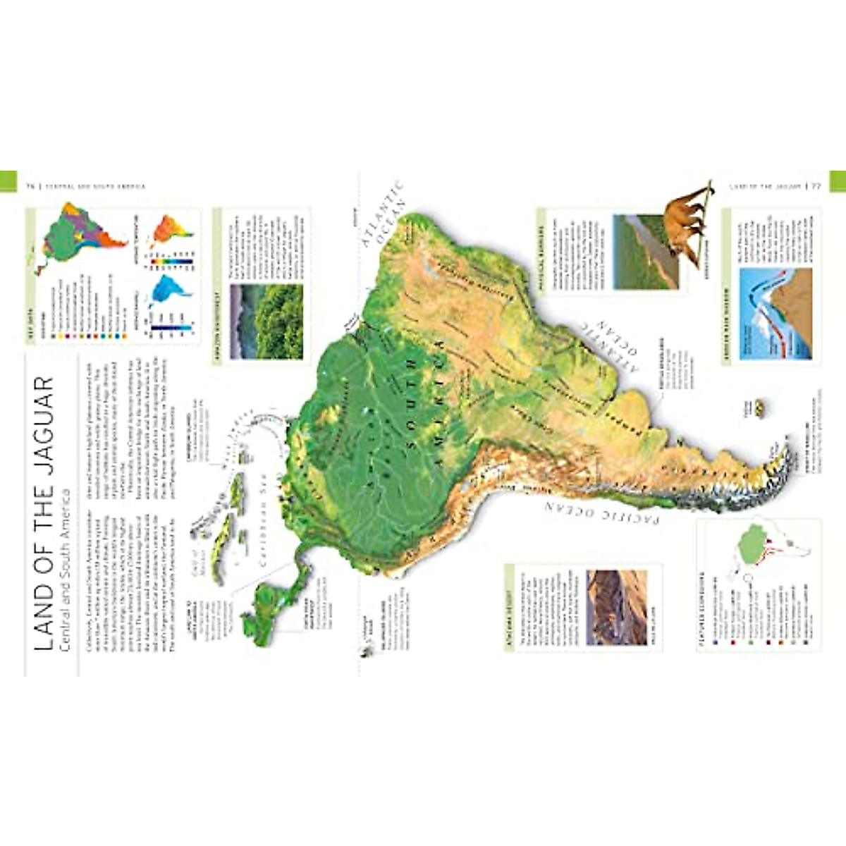 Wildlife of the World