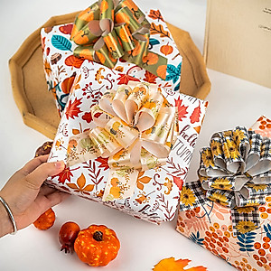 WRAPAHOLIC 18 Pcs Autumn Gift Pull Bows Assortment - 5 Inches Diameter Pull String Bows for Christmas, Holiday, Party Favors, Decor