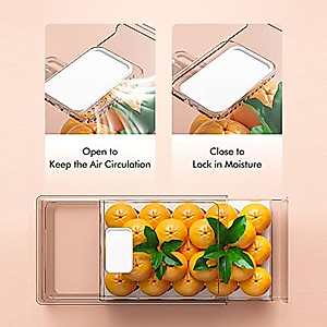 elabo Stackable Refrigerator Organizer Drawers with Removable Drain Tray, Fridge Organizer Bins, Pull Out Food Storage Container Bins with Drawer for Freezer and Kitchen, BPA-Free, Clear