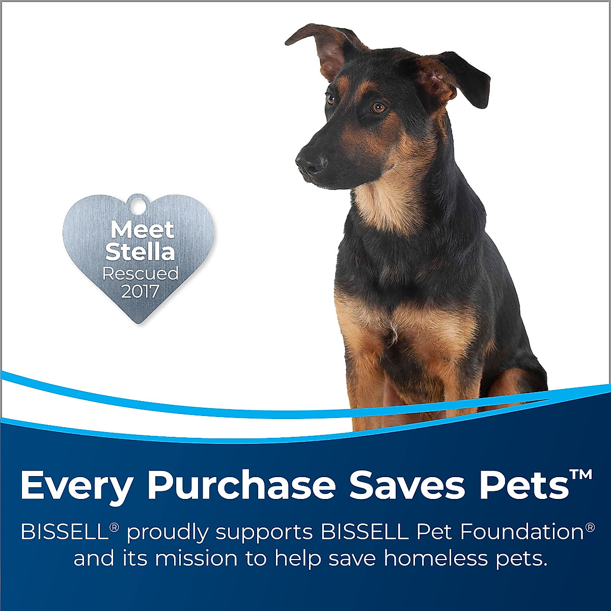 BISSELL® TurboClean™ DualPro Pet Carpet Cleaner