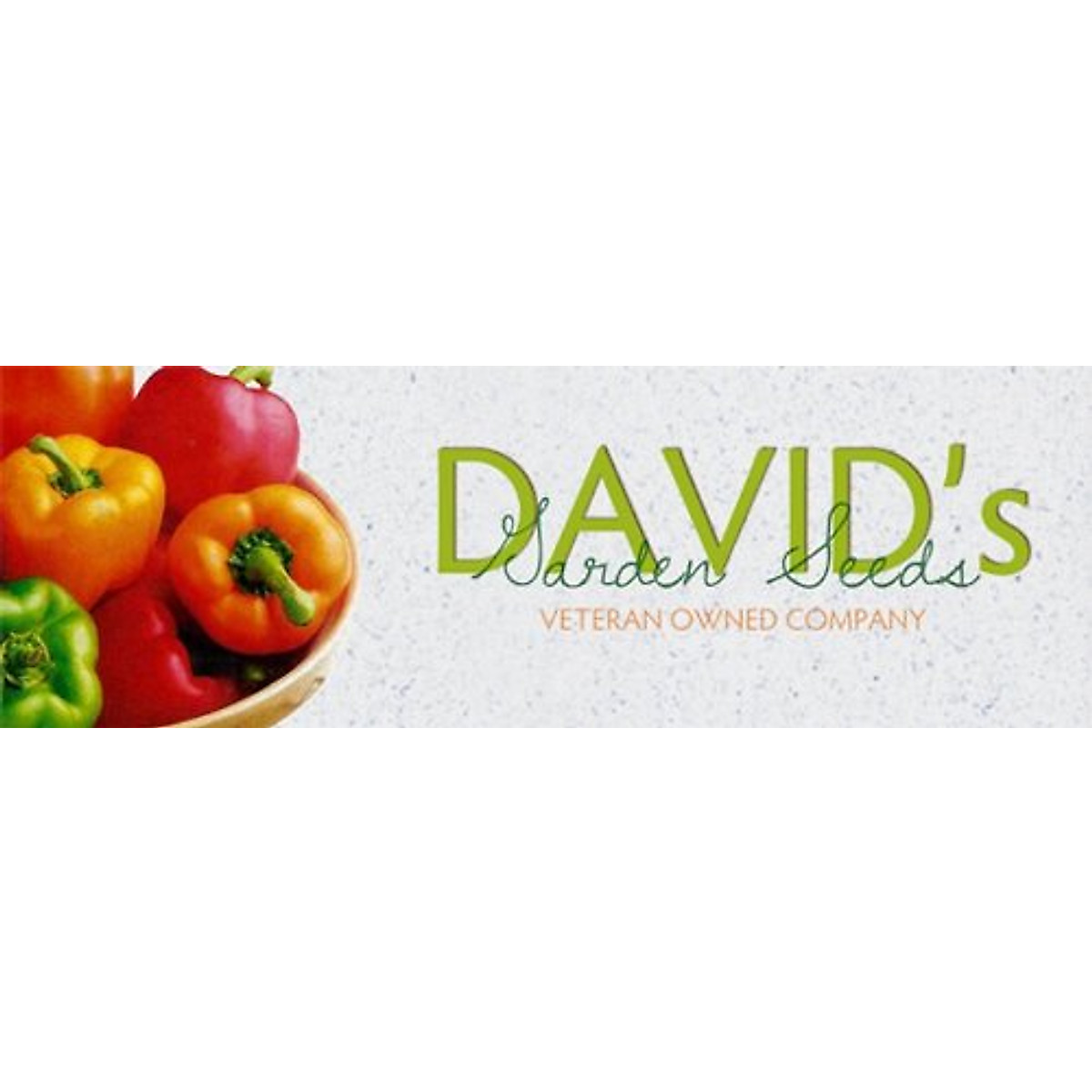 Burpee Seeds, Burpee Seeds Cucumber Burpless Beauty, 1 Count