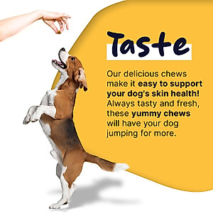 Omega 3 Fish Oil for Dogs Chews - Omega 3 for Dogs Shedding and Itchy Skin Relief for Dog Dry Skin and Hot Spots, EPA and DHA Fatty Acids, Dog Skin and Coat Supplements - 180 Chews