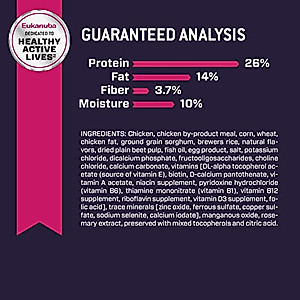 Eukanuba Puppy Large Breed Dry Dog Food, 30 lb