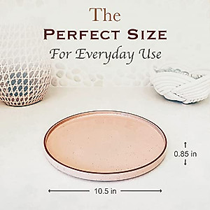 Mora Ceramic Flat Dinner Plates Set of 6, 10.5 in High Edge Dish Set - Microwave, Oven, and Dishwasher Safe, Scratch Resistant, Modern Dinnerware- Kitchen Porcelain Serving Dishes - Assorted Neutrals