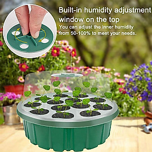Dsxnklnd 12 Hole Seed Starter Tray Set Humidity Adjustable Seed Starter Kit with Dome and Mini Greenhouse Grow Trays for Growing Starting