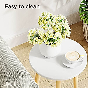 MUDEELA 16.5" Tall 2 Pack Plant Stands, Modern Plant Table, Mid Century, Indoor, Outdoor, Plant Stool, Small Side Table White