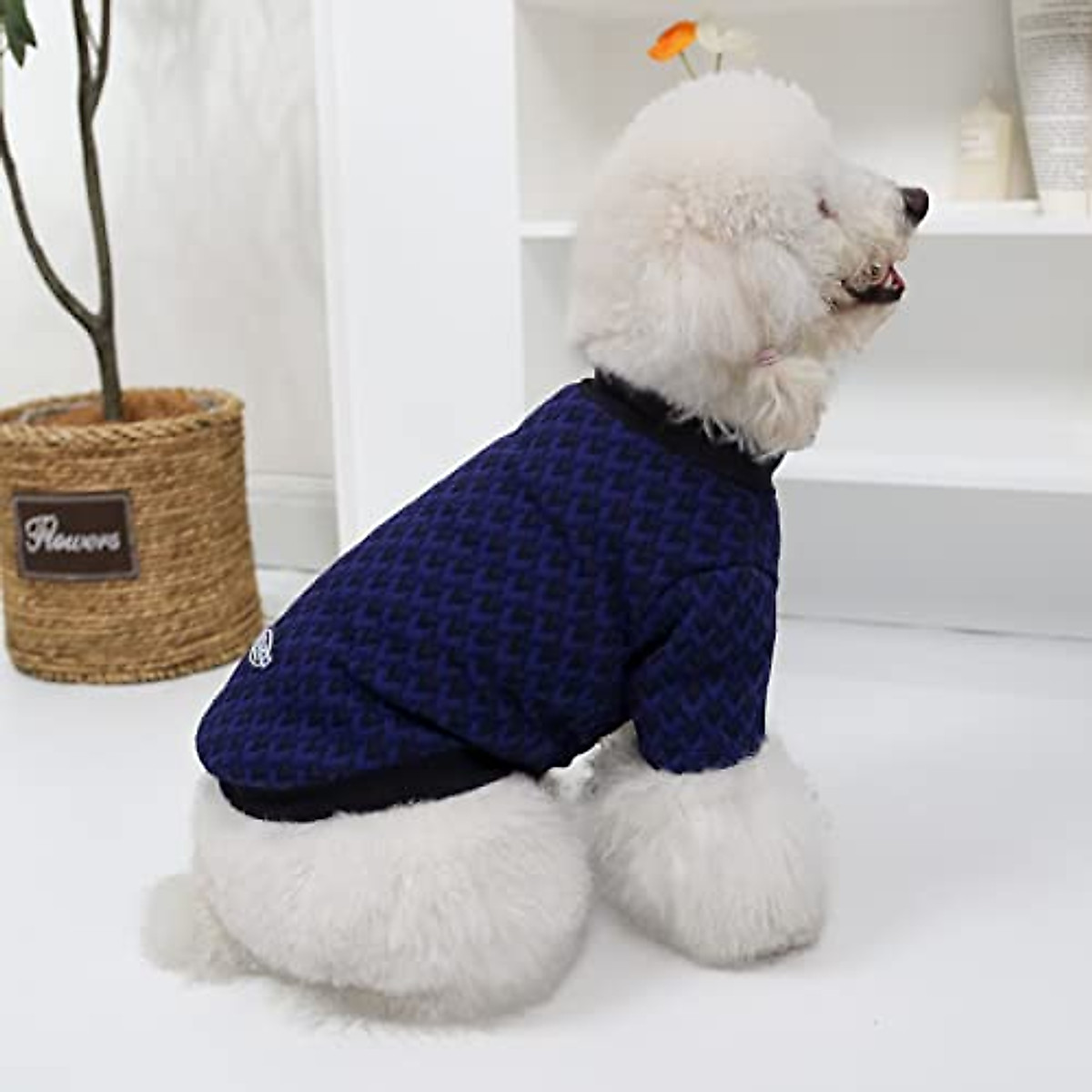 MESHEEN Elegant Premium Dog Shirt for Puppy and Cat Made of Soft Breathable Stretch Customized Fabric, Dog Clothes Use Mid Collar Short Sleeve Design Make Your Pet More Cute and Fashion